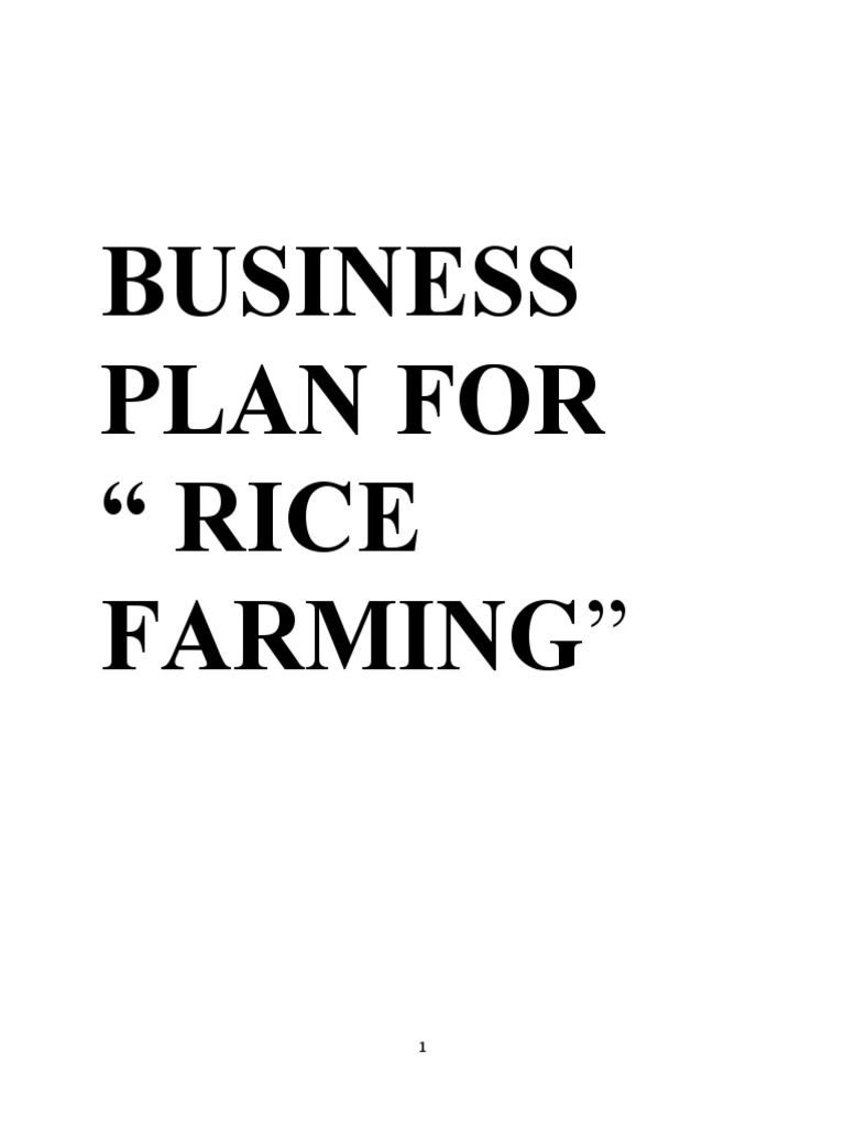 Business Plan For Rice Farming | PDF | Agriculture | Rice
