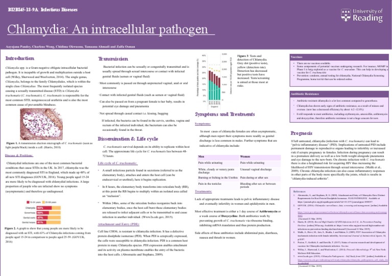 Chlamydia Poster | PDF | Sexually Transmitted Infection | Infection