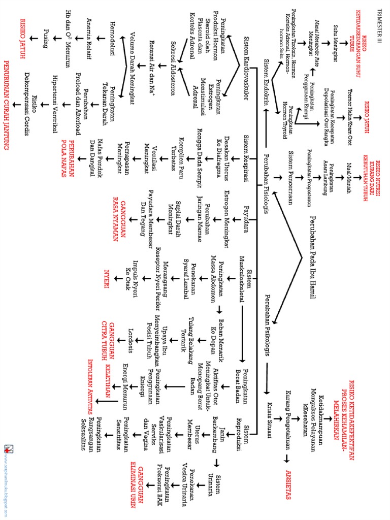 Pathway Trimester III - Fikri Nabiha | PDF
