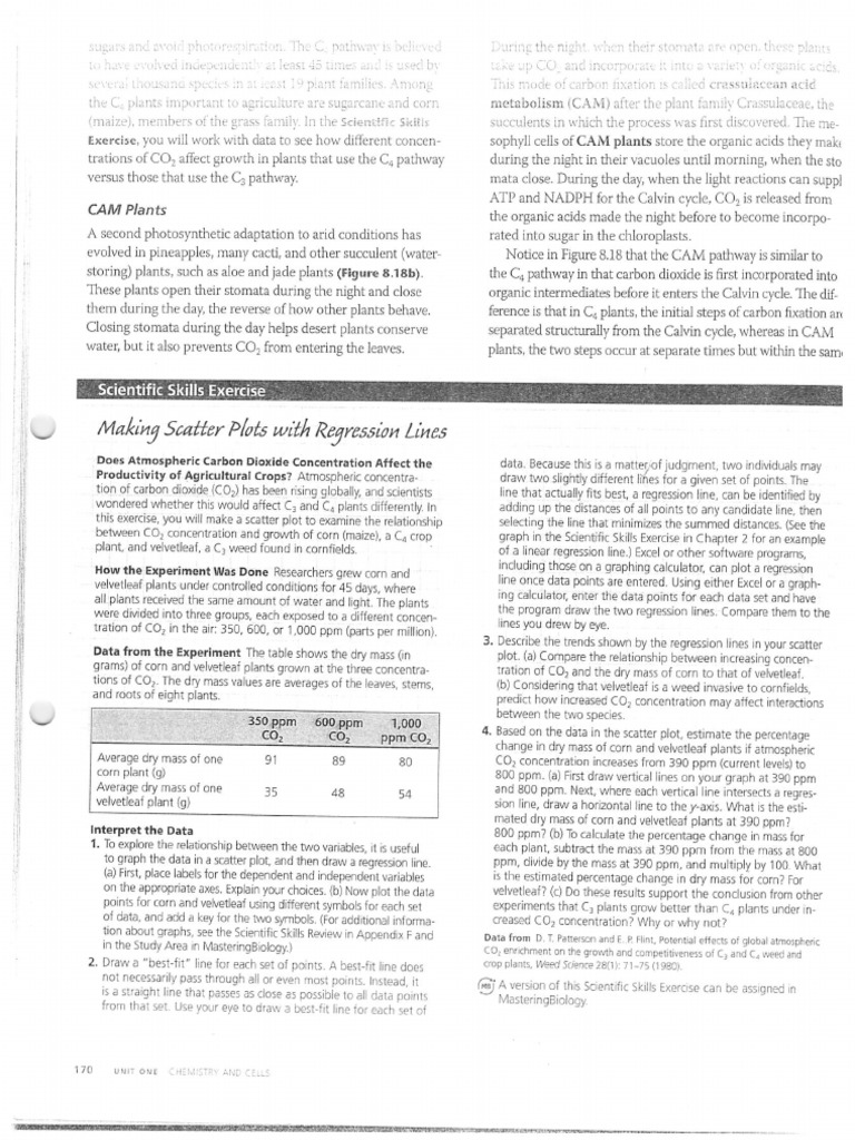 AP Biology Making Scatter Plots With Regression Lines | PDF