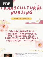 Explanatory Model Kleinman | PDF | Mental Disorder | Health Care