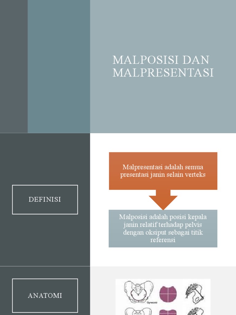 Malposisi Dan Malpresentasi Andini | PDF