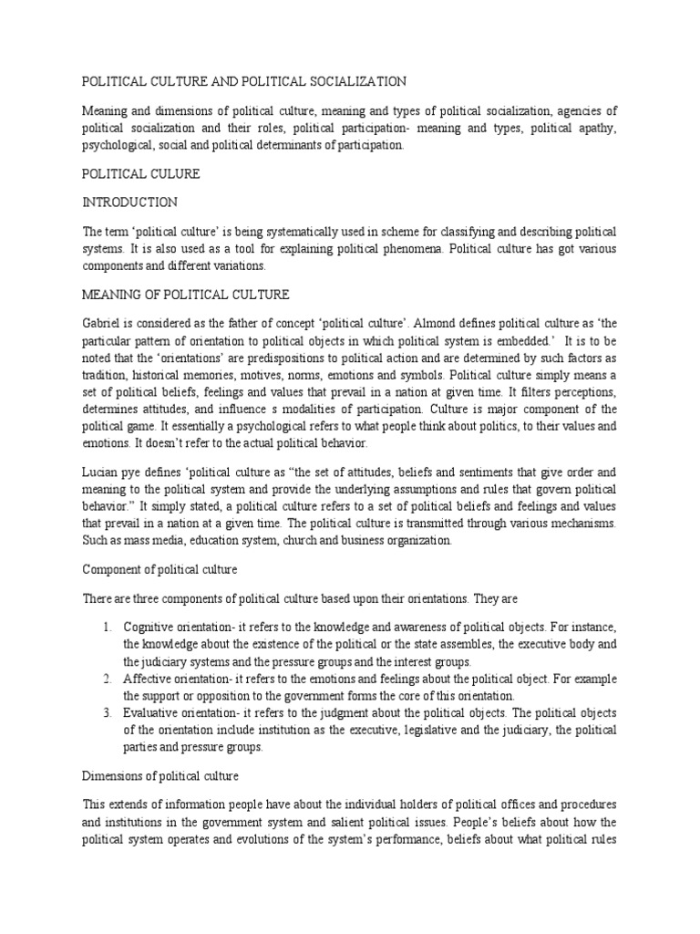 Political Culture & Socialization Guide | PDF | Socialization ...