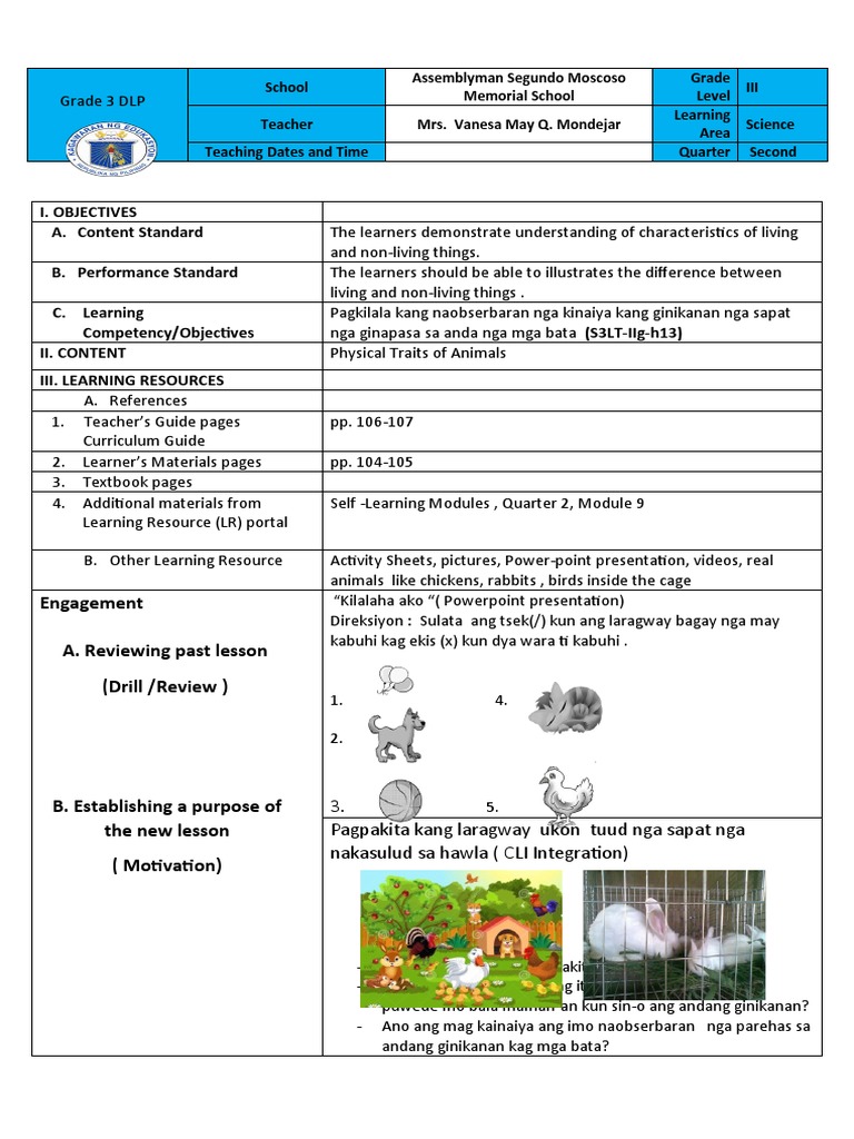 Grade 3 Lesson Plan - Week 5 | PDF