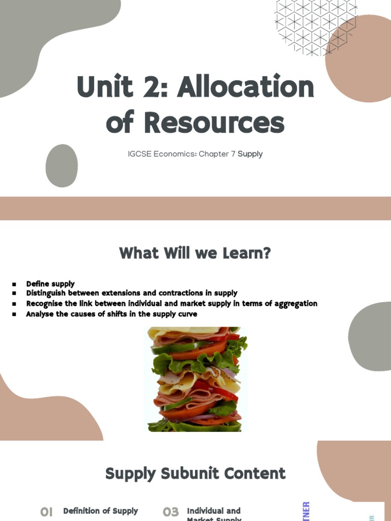 Unit 2: Allocation of Resources: IGCSE Economics: Chapter 7 Supply ...