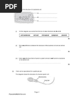 Magnification Worksheet | PDF | Units Of Measurement | Teaching Mathematics