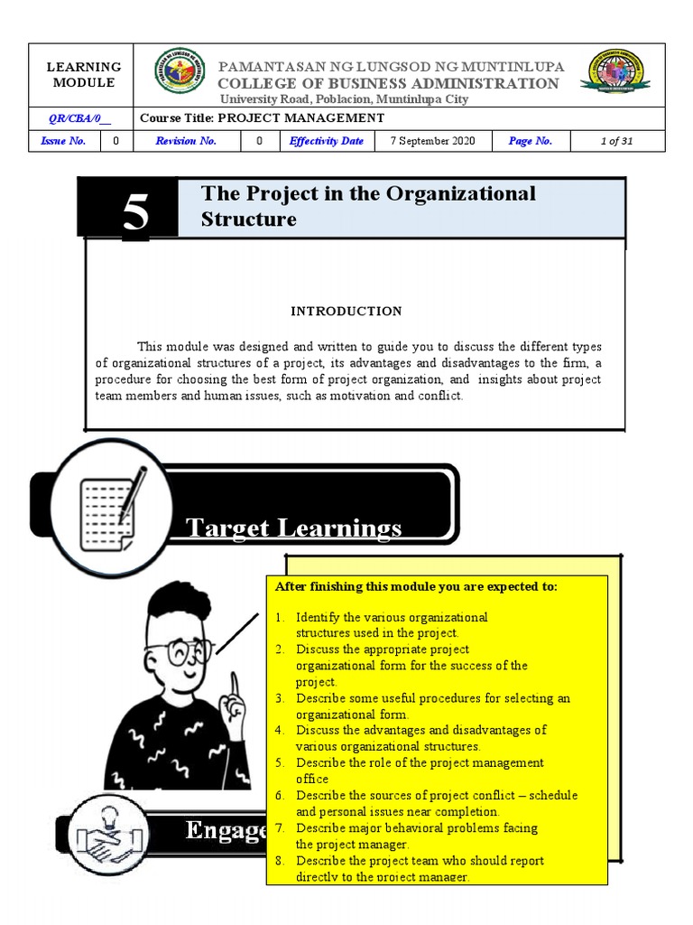 Project Organization Structures Overview | PDF | Learning | Applied ...