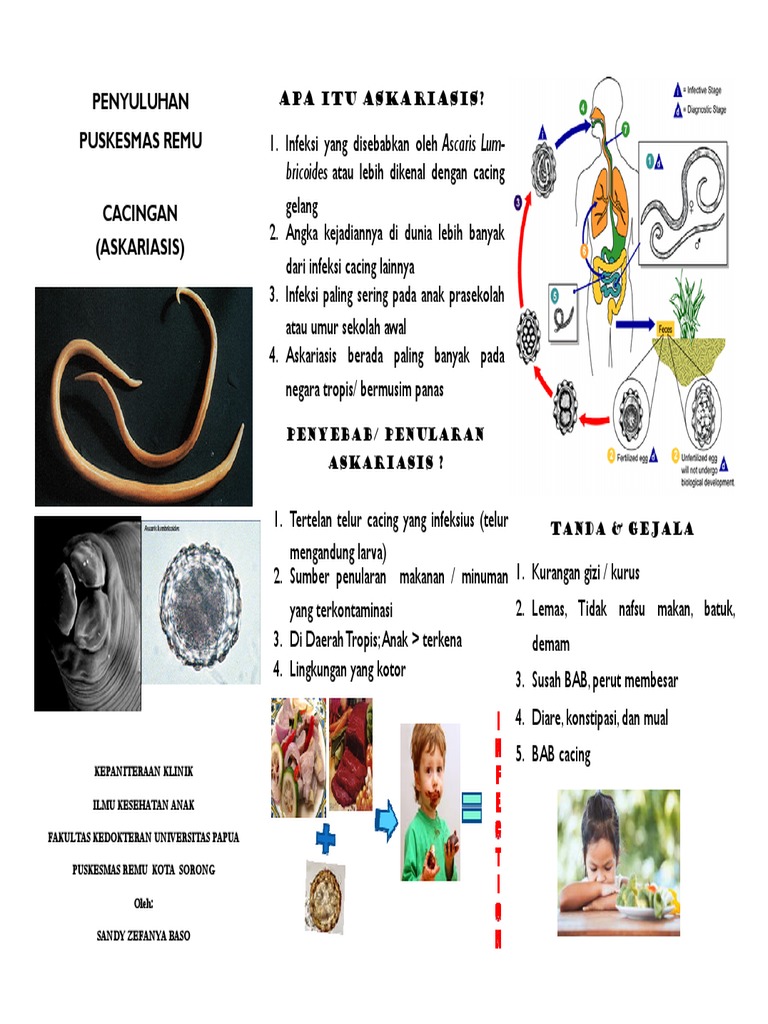 Askariasis | PDF | Pengembangan Diri | Sains & Matematika