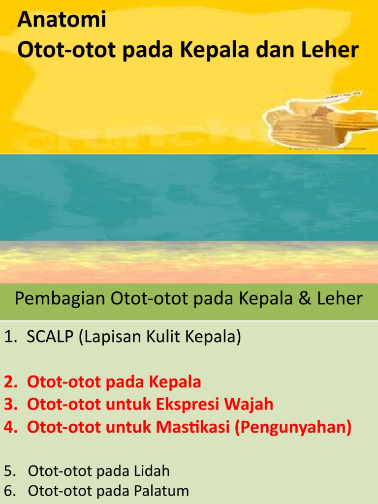 Otot-Otot Pada Regio Caput-Collum FK-UNPRI | PDF