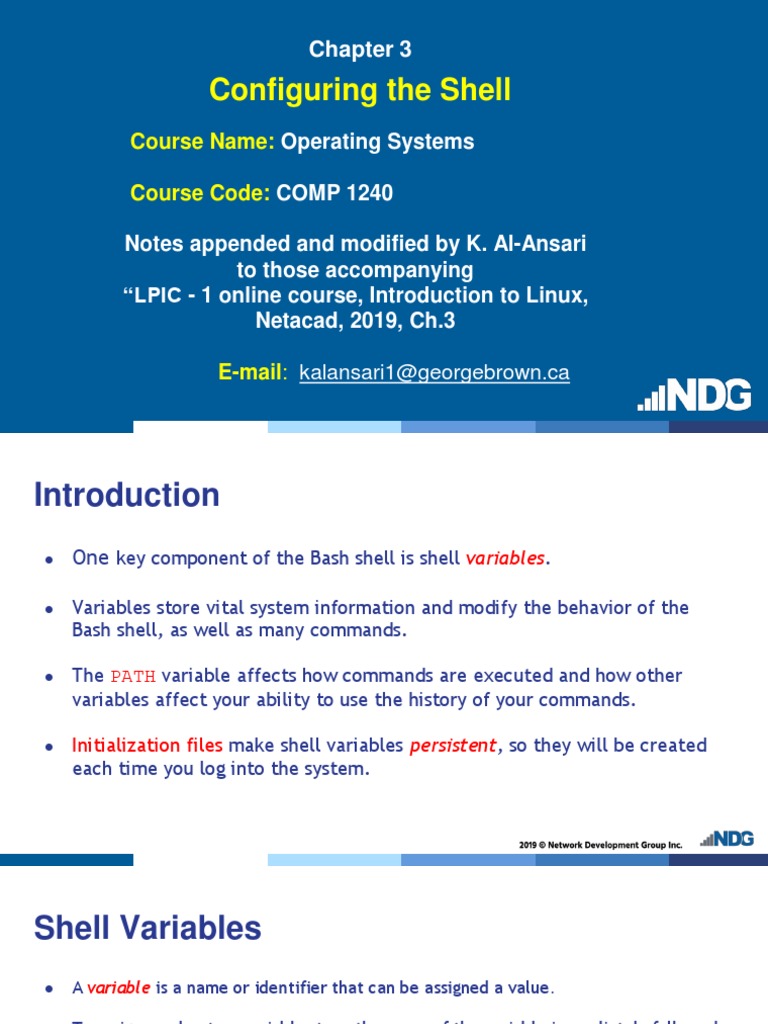 Configure Shell Variables | PDF | Computer File | Variable (Computer Science)
