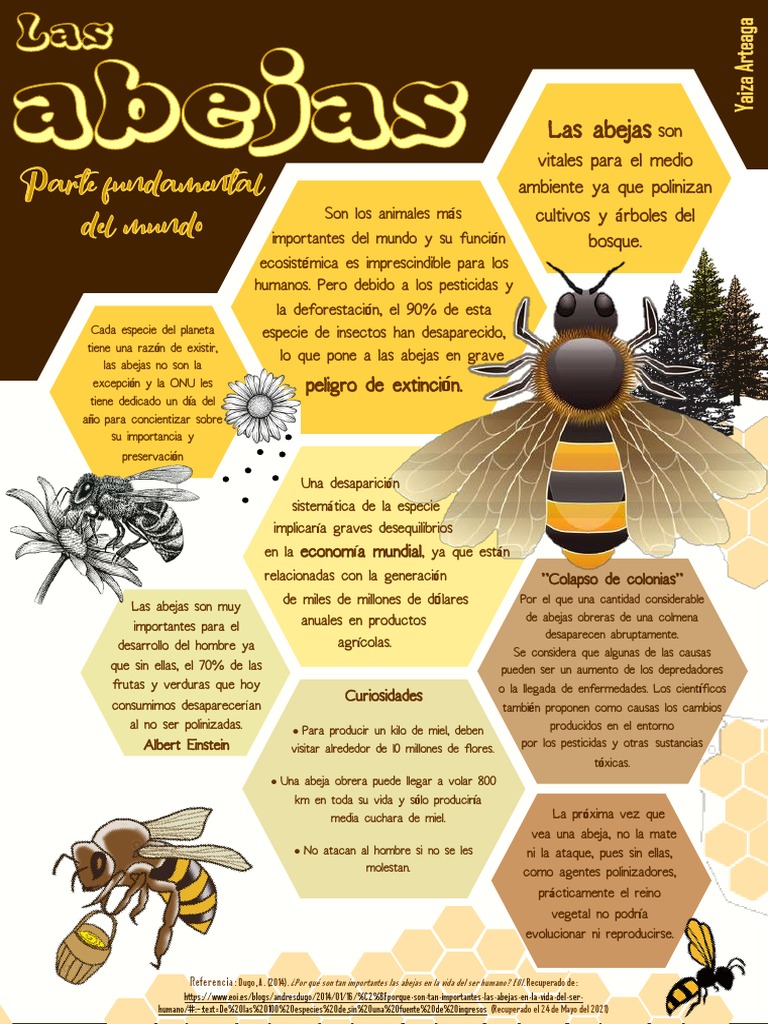 Infografía Sobre Las Abejas OFICIAL | PDF | Abejas | Polinización