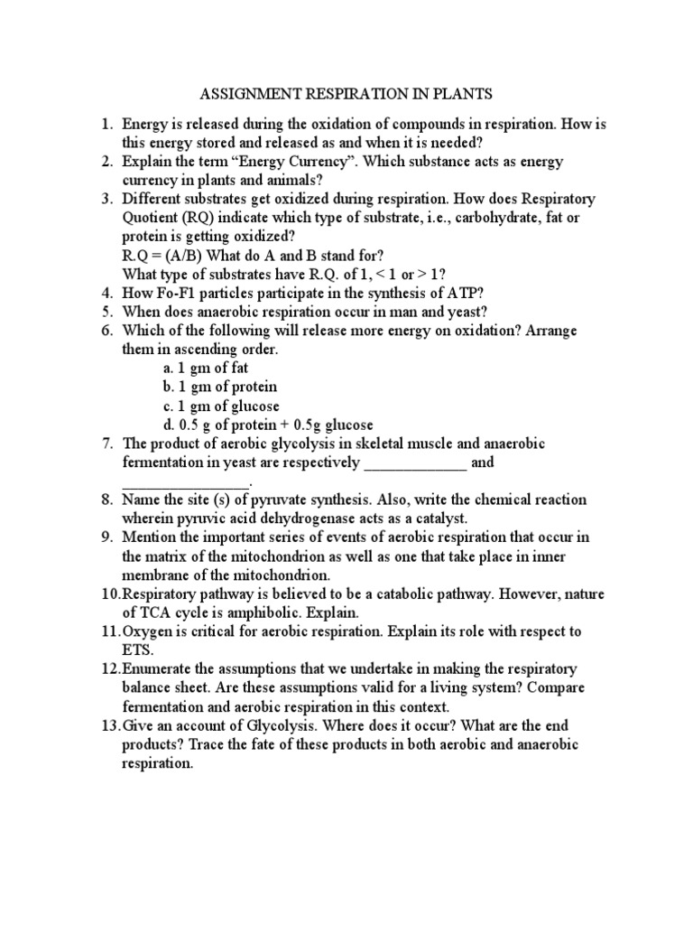 Respiration in Plants Worksheet | PDF