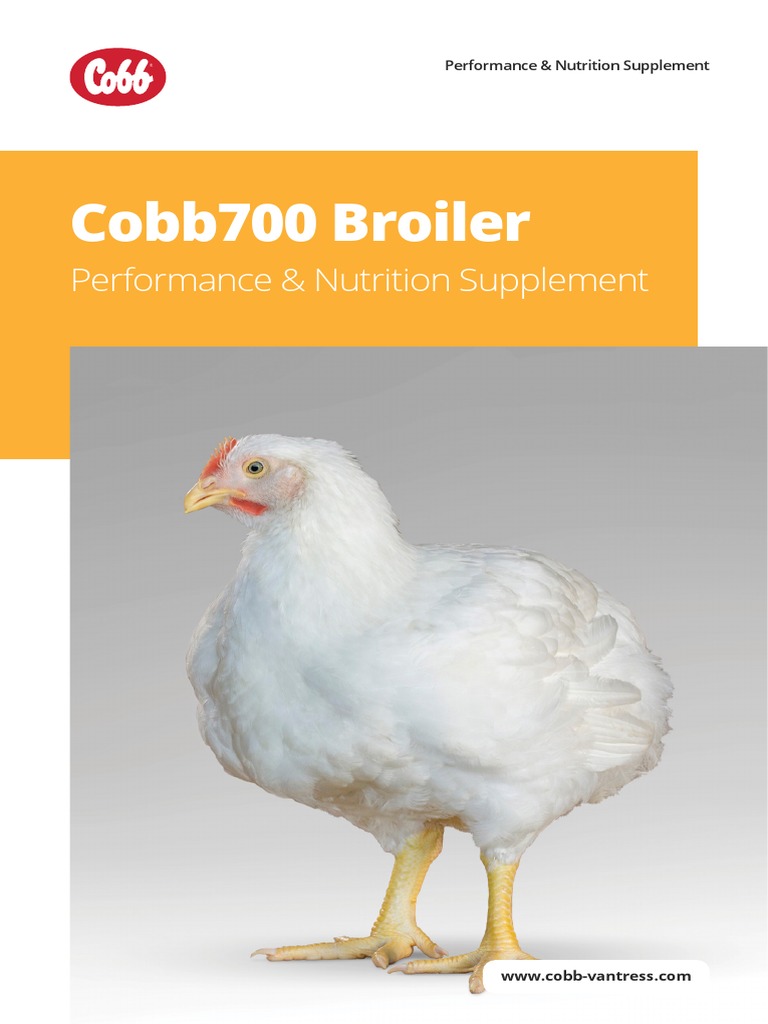 Cobb 700 Broiler Performance Guide | PDF | Vitamin | Broiler