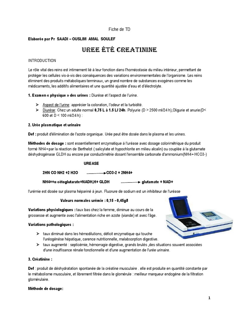 TD Biochimie - Fonction Rénale (Urée Et Créatinine) | PDF | Créatinine ...