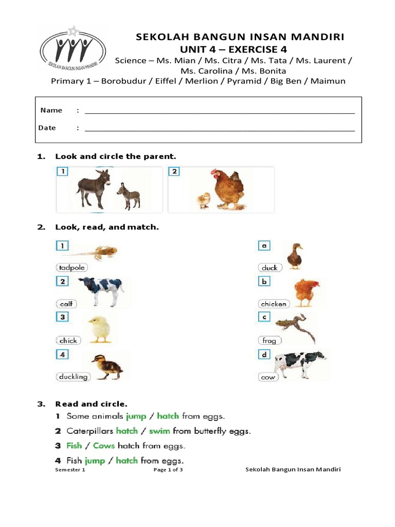 p1 Science Exercise Unit 4 | PDF | Career & Growth | Language Arts ...