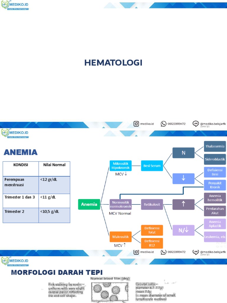 Hematologi Revisi 2 1 Pdf