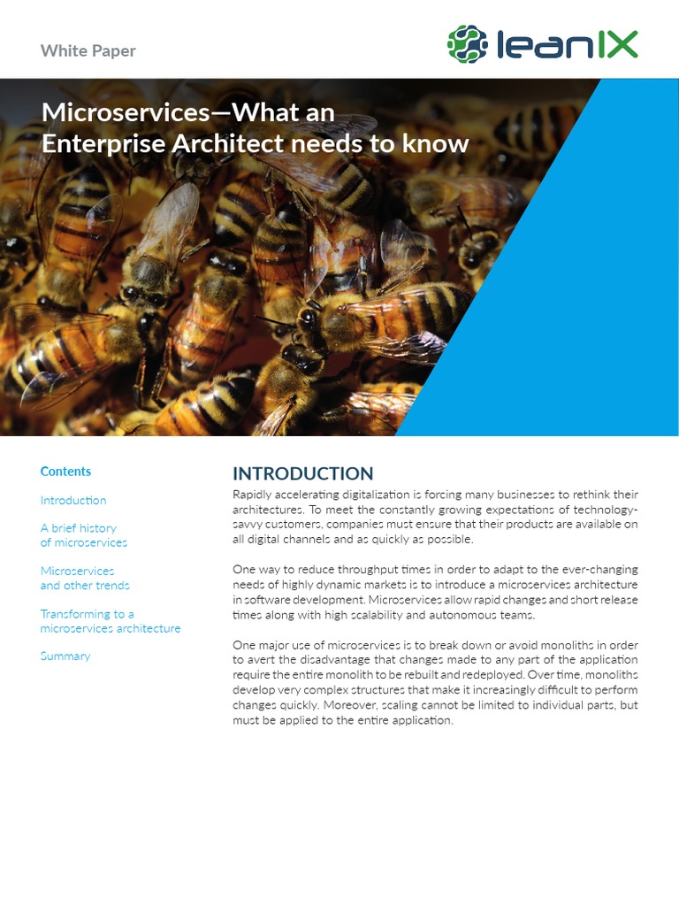 leanIX Whitepaper Microservices EN-6 | PDF | Service Oriented Architecture | Software As A Service