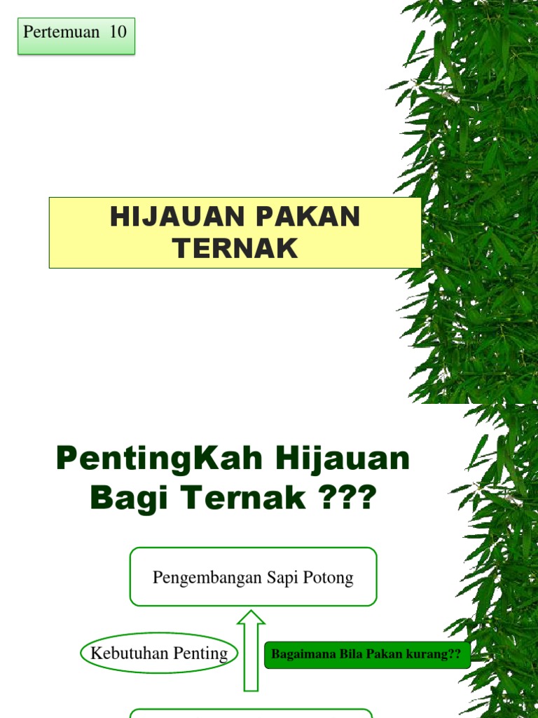 Pertemuan 10. Hijauan Pakan Ternak | PDF