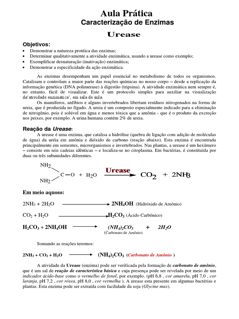 Caracterização da Atividade Enzimática da Urease através de Testes ...