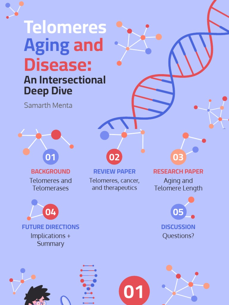 Telomeres, Telomerase, and Cancer | PDF | Telomere | Genetics