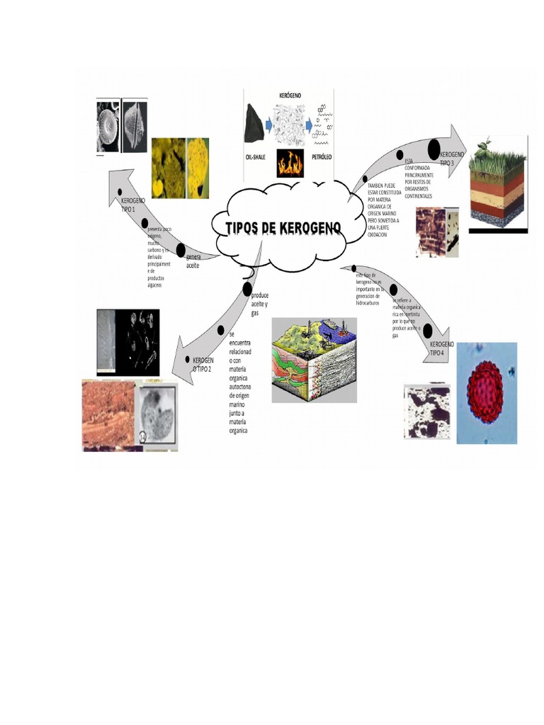 Tipos de Kerogeno | PDF