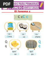 Manual de Errores para El Formulario | PDF | Informática | Software