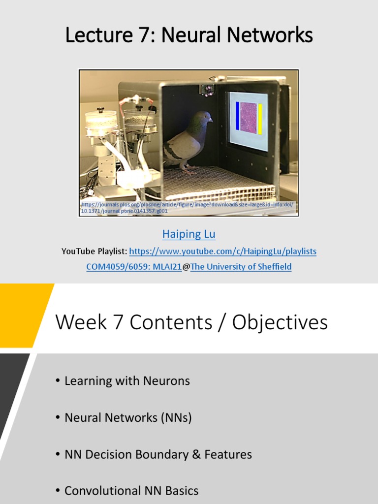 Neural Networks | PDF | Artificial Neural Network | Applied Mathematics