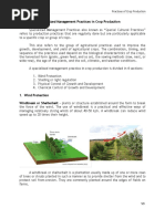Agronomic Crops and Their Scientific Names | PDF | Crops | Cereals