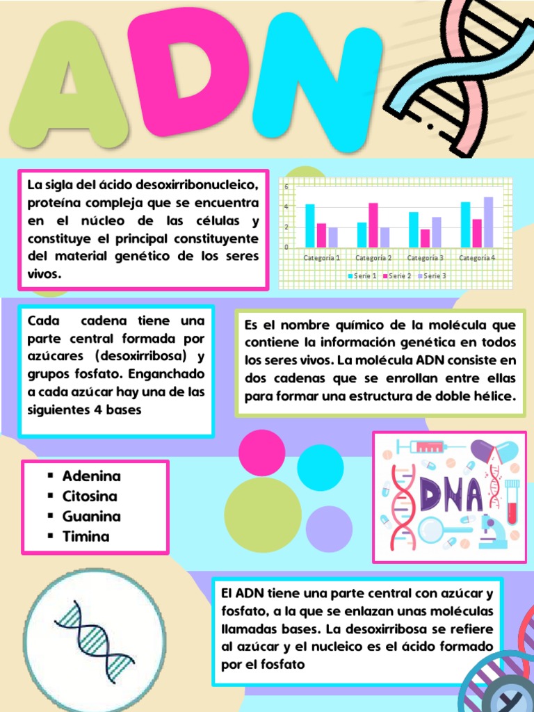 Infografia Adn Fernanda | PDF