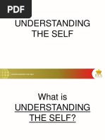 Exploring Self-Identity Concepts | PDF | Philosophy Of Self | Thought
