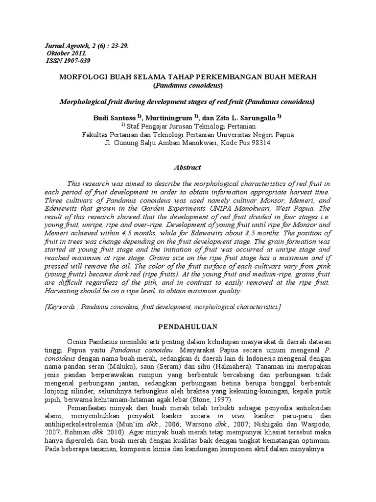 Morfologi Buah Selama Tahap Perkembangan Buah Merah (Pandanus Conoideus ...