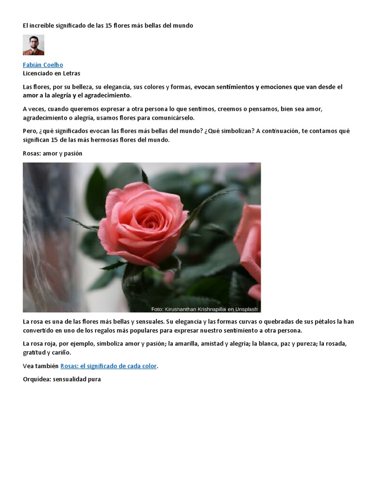 Significado de 15 flores hermosas | PDF | Orchidaceae | Jardinería