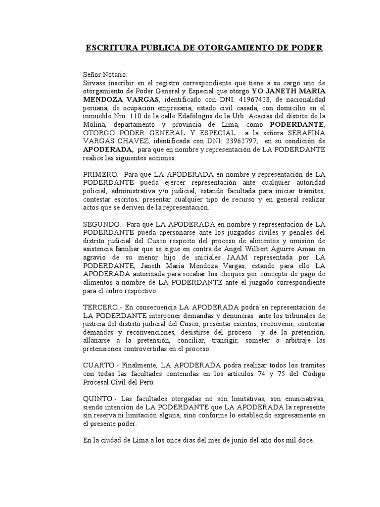 Escritura Publica de Otorgamiento de Poder | PDF | Ley Pública | Justicia