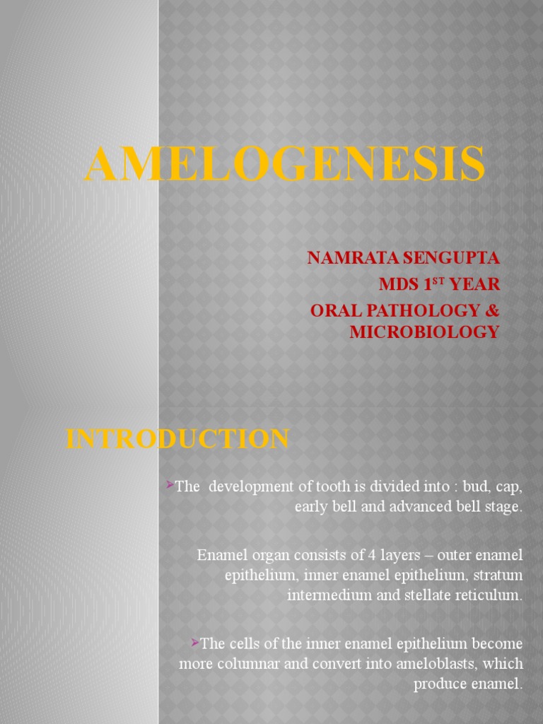 Amelogenesis & Enamel Surface Structures | PDF | Tooth Enamel | Dentin