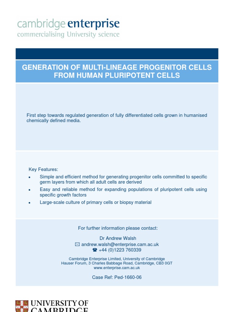 Multi-Lineage Progenitor Cell Generation | PDF | Stem Cell | Cell Potency