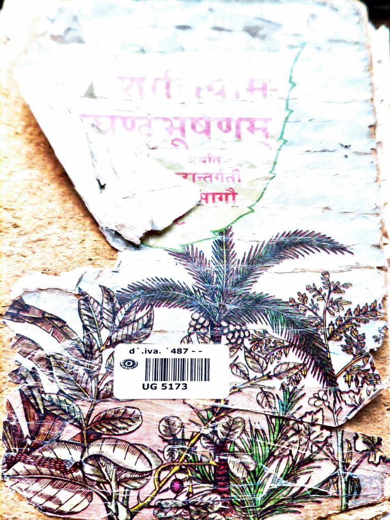 Shaligram Nighantu Arjun Shyonak | PDF