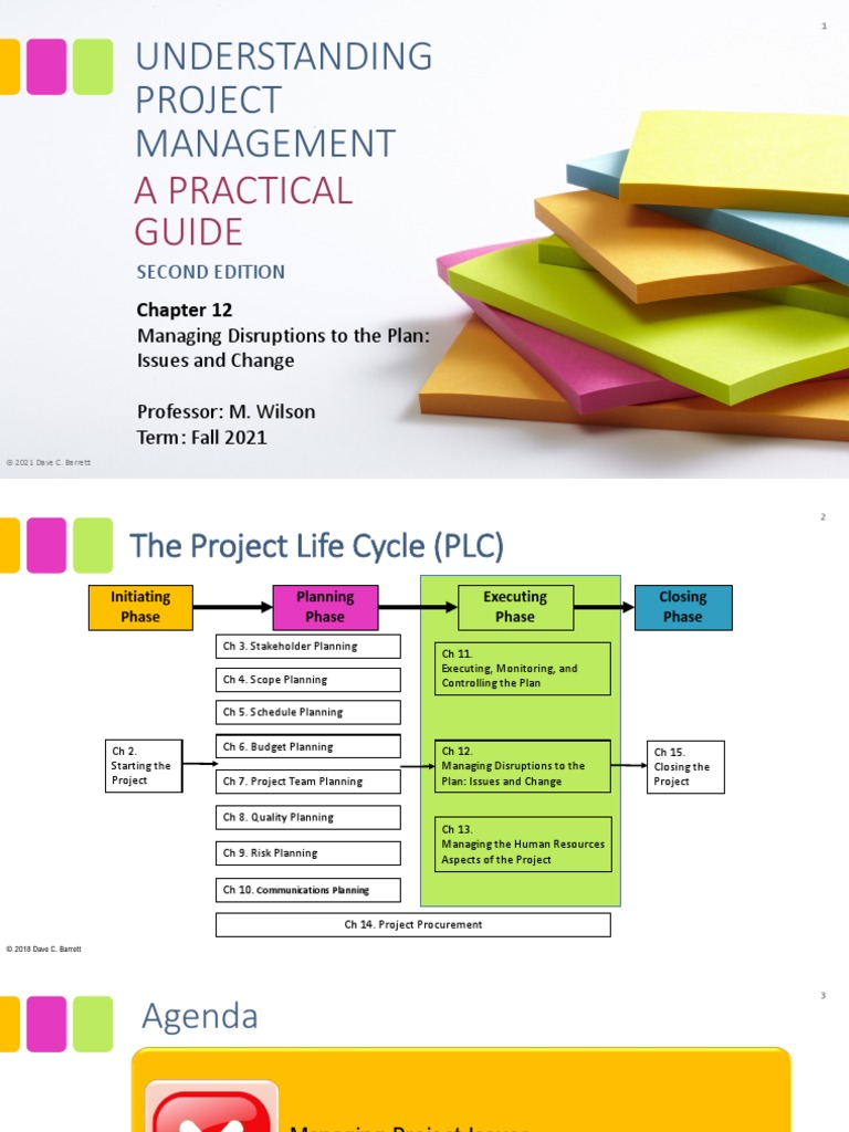 Chapter 12 - Managing Disruptions To The Plan - Issues and Change ...