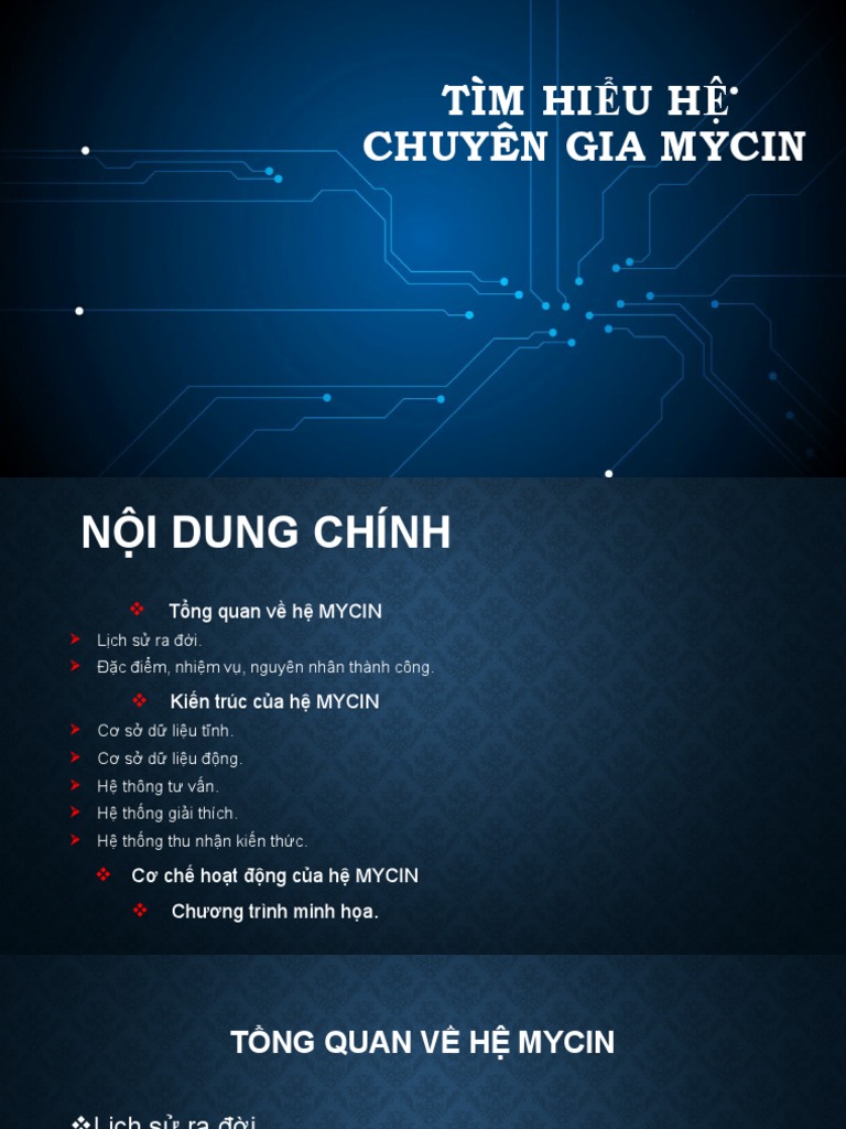 He Chuyen Gia Mycin.1 | PDF