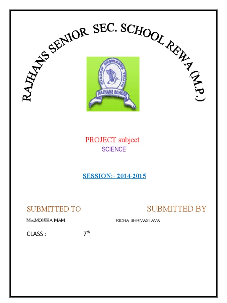 Project Front Page for Jyoti School | PDF