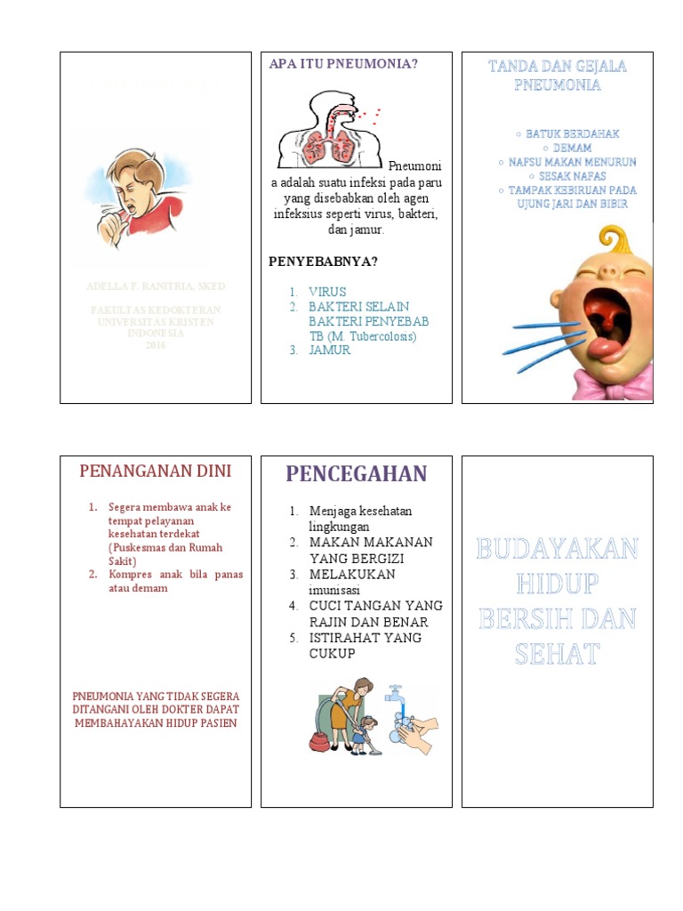 Leaflet Pneumonia | PDF