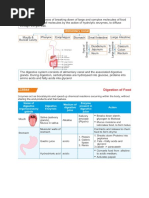 Activity Sheets Vertebrates | PDF | Invertebrate | Blood
