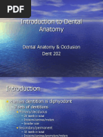 Dental Anatomy: Teeth Nomenclature & Numbering | PDF | Dental Anatomy ...