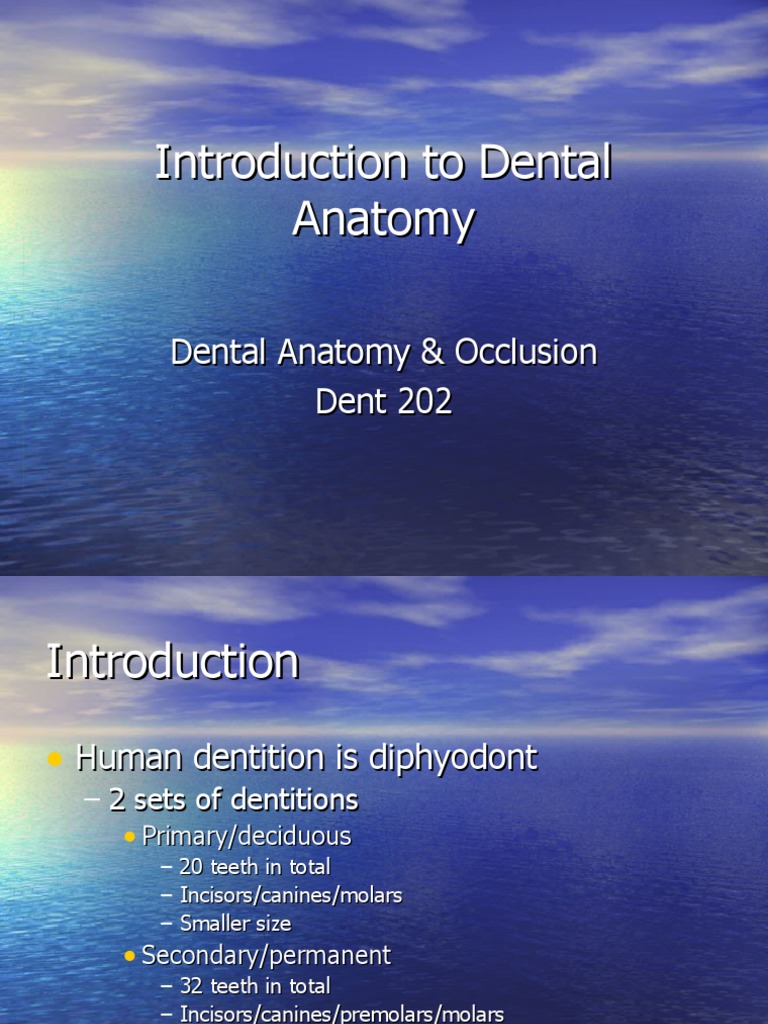 Introduction to Dental Anatomy | PDF | Dental Anatomy | Animal Anatomy