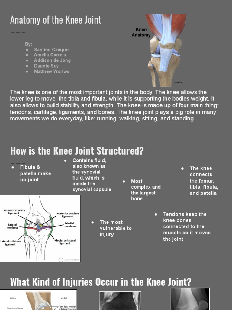 Knee Project | PDF | Knee | Diseases And Disorders