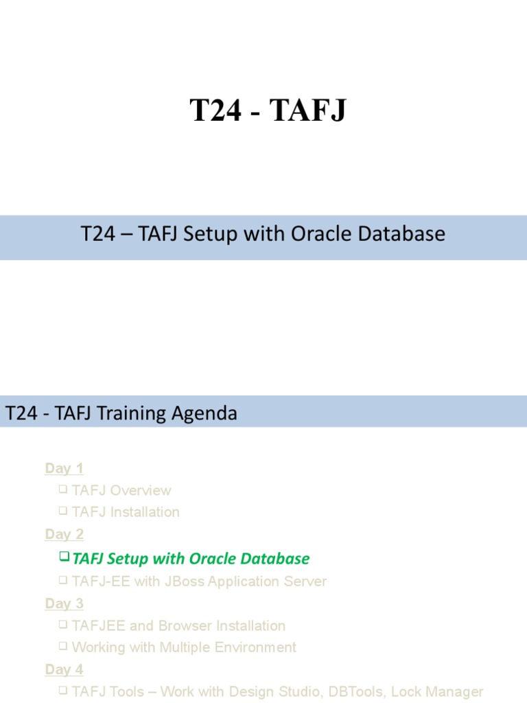 TAFJ Setup With Oracle Database | PDF