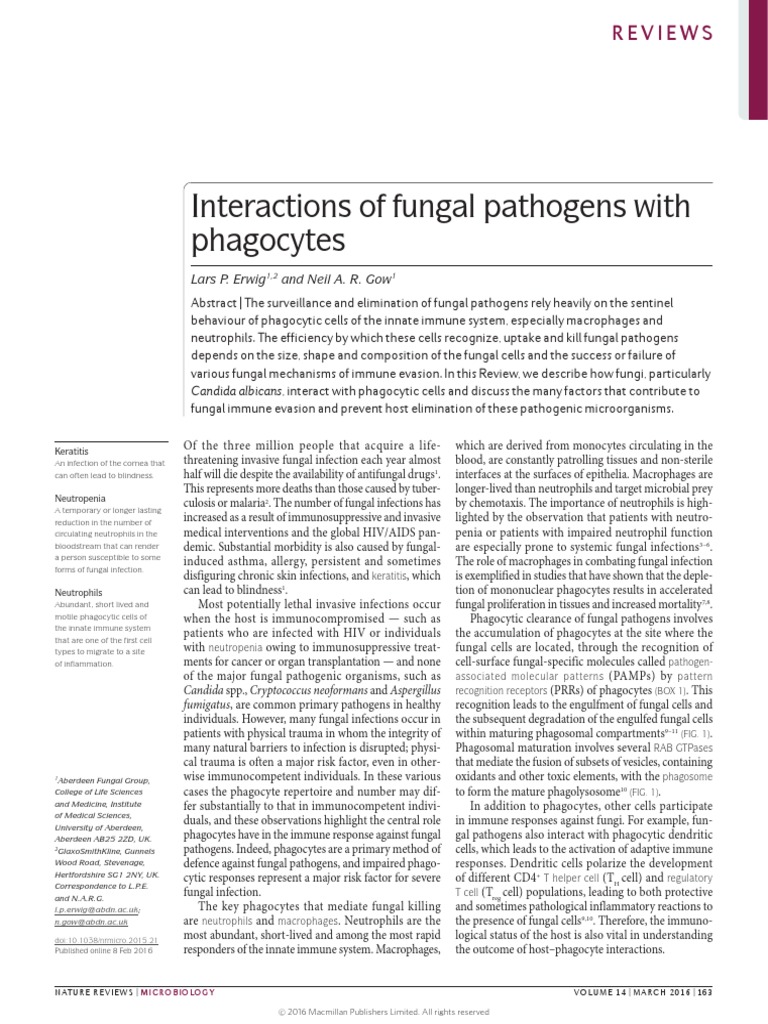 Interactions of Fungal Pathogens With Phagocytes: Lars P. Erwig and ...