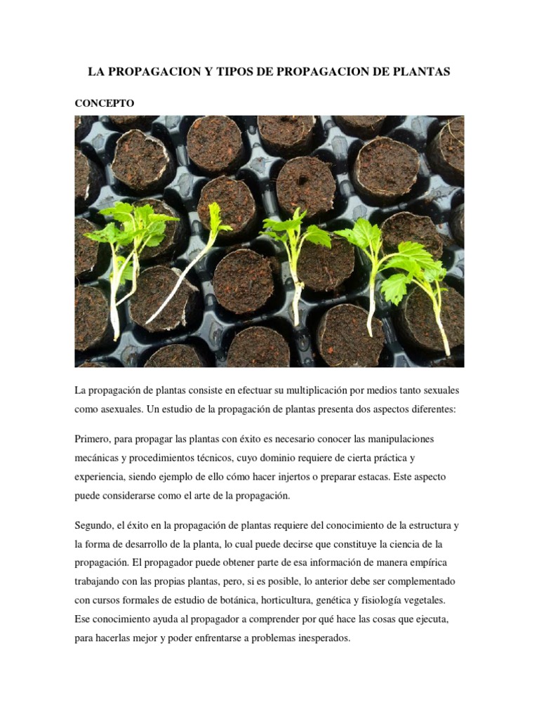 La Propagacion y Tipos de Propagacion de Plantas | PDF | Plantas ...