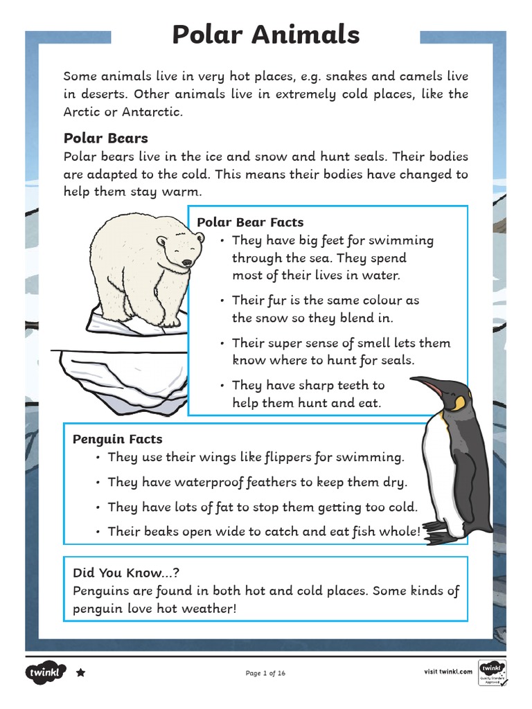 Winter Animals Differentiated Reading Comprehension Activity Arabic ...
