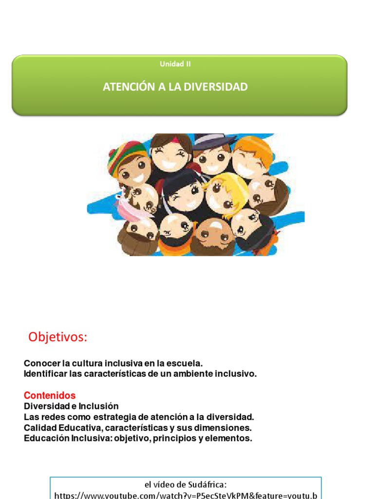Diversidad e Inclusión | PDF | Inclusión (Educación) | Cognición