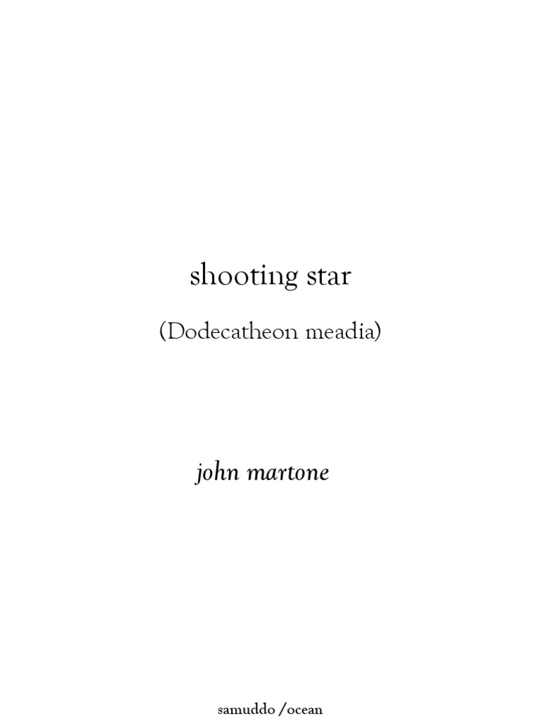 Shooting Star | PDF | Nature